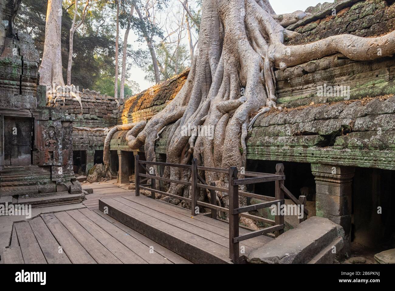 The Ta Prohm Temple near Angkor Wat in Cambodia Stock Photo - Alamy