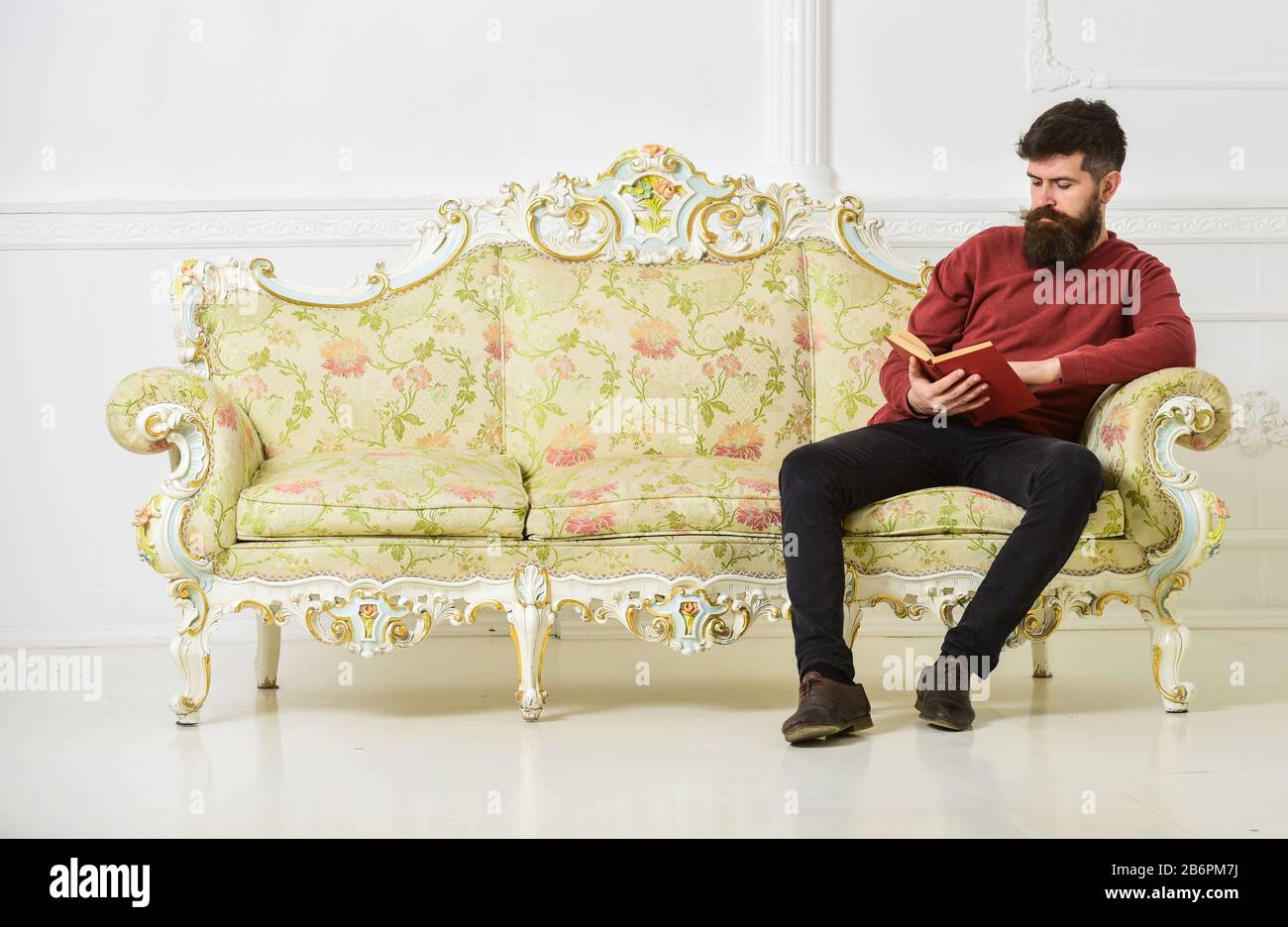 Lecturer sit on sofa and reading book, white wall background. Elite ...