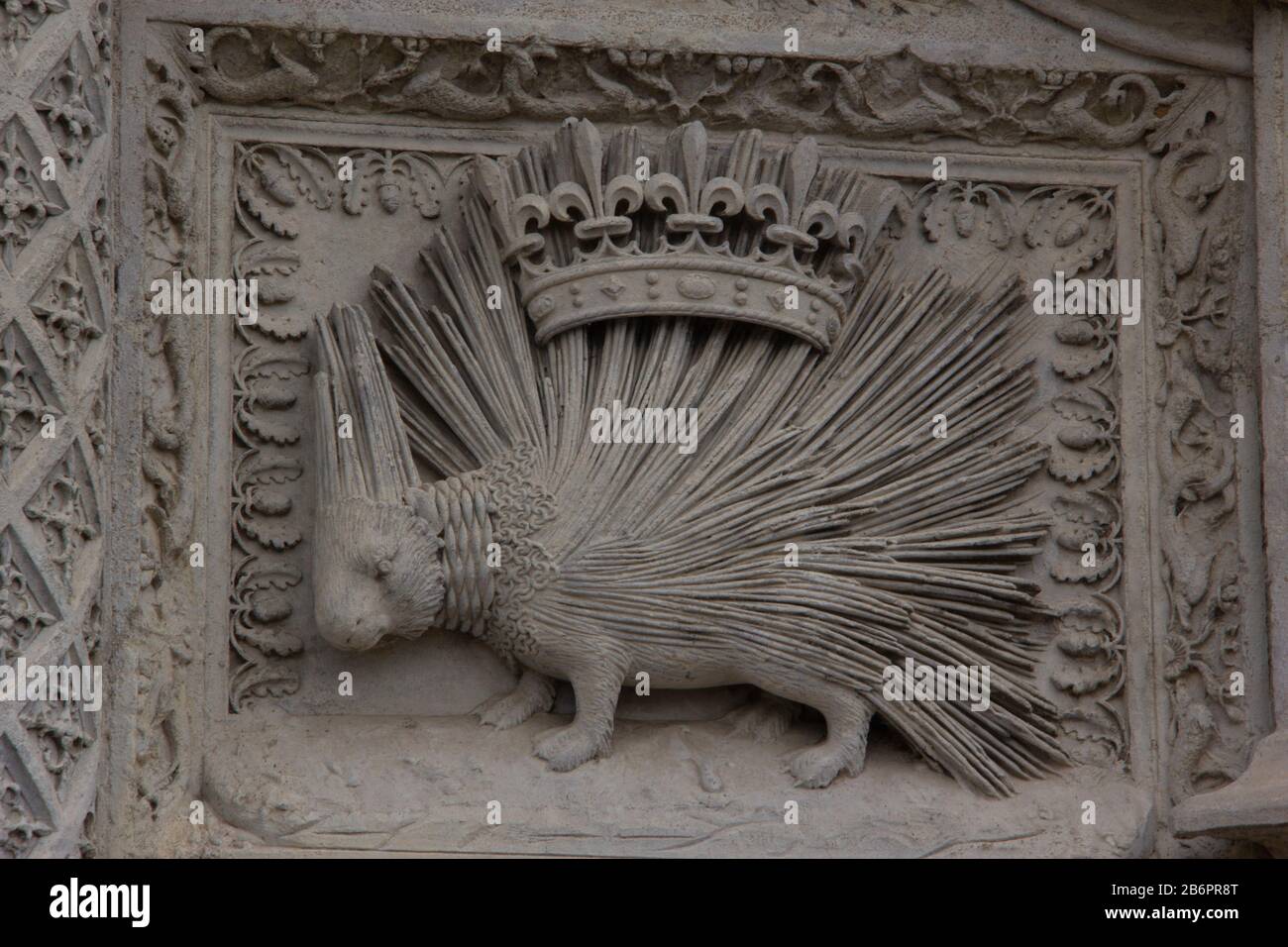 Porcupine crest hi-res stock photography and images - Alamy