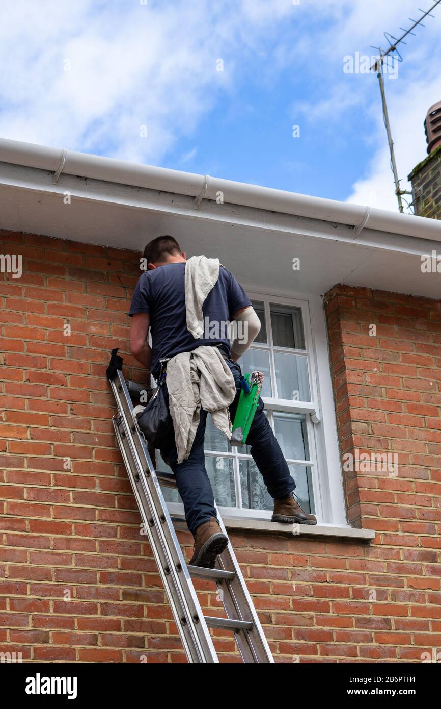 Working up a ladder hi-res stock photography and images - Alamy