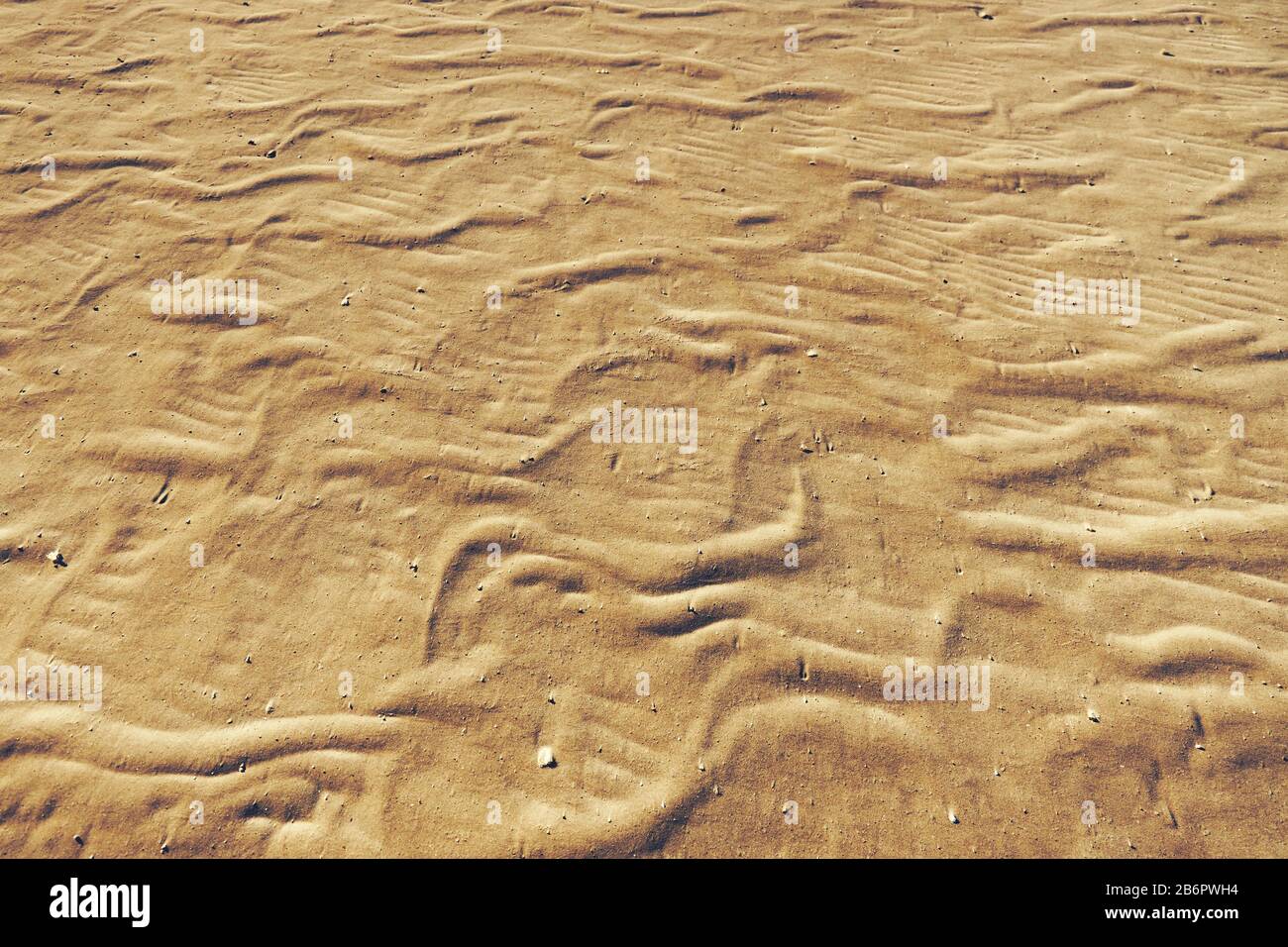 Solid sea sand after low tide as a background Stock Photo - Alamy