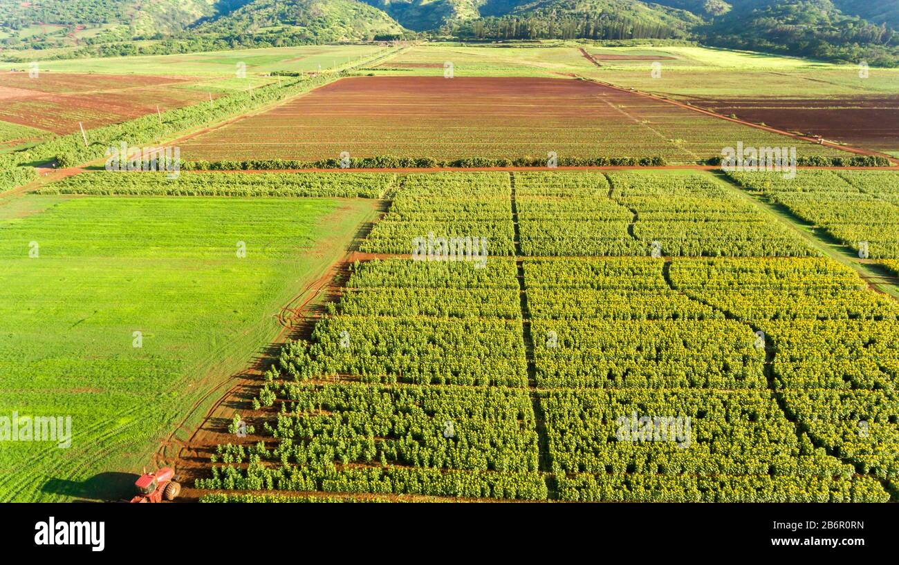 Aerial Farm view, Oahu Hawaii Stock Photo - Alamy