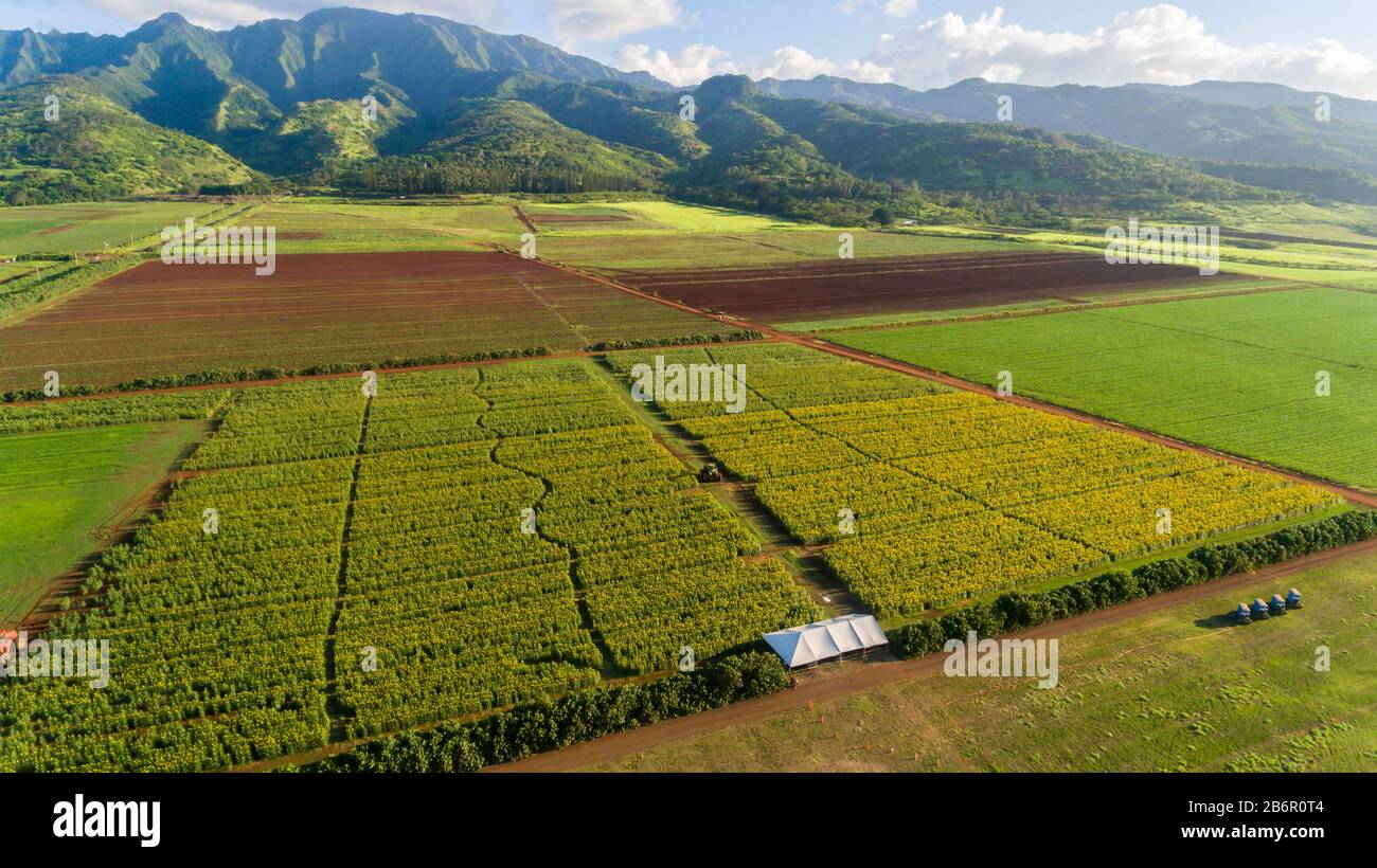 Aerial Farm view, Oahu Hawaii Stock Photo - Alamy