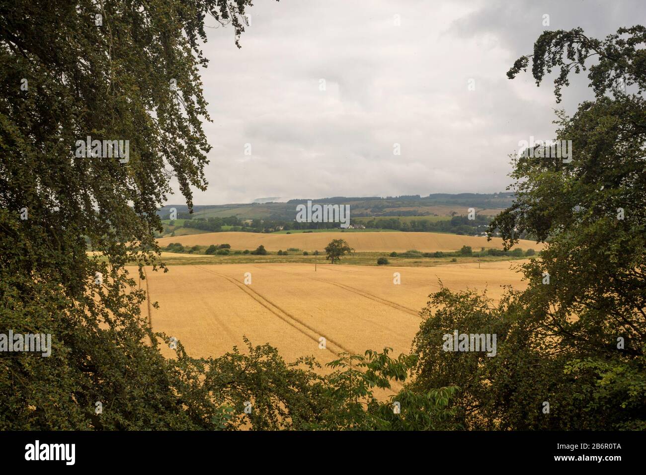 A storm approaching over farmland crops in Scotland on a summers day ...