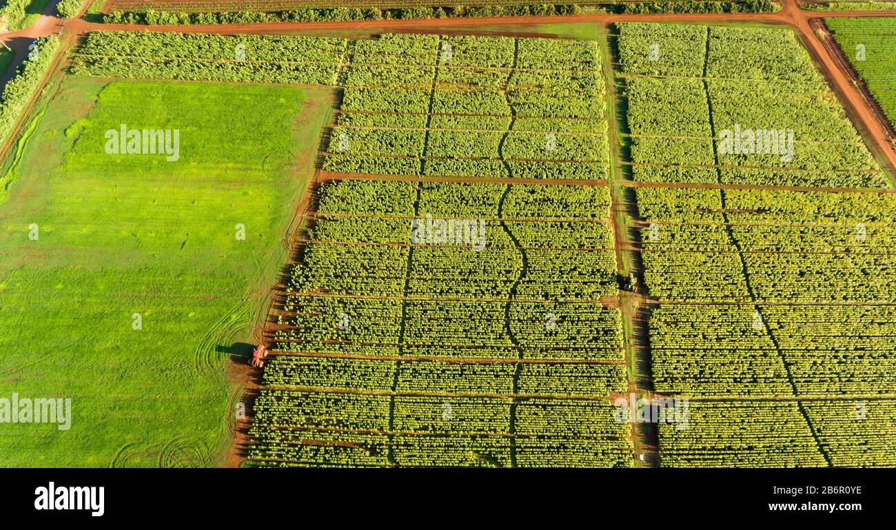 Aerial Farm view, Oahu Hawaii Stock Photo - Alamy