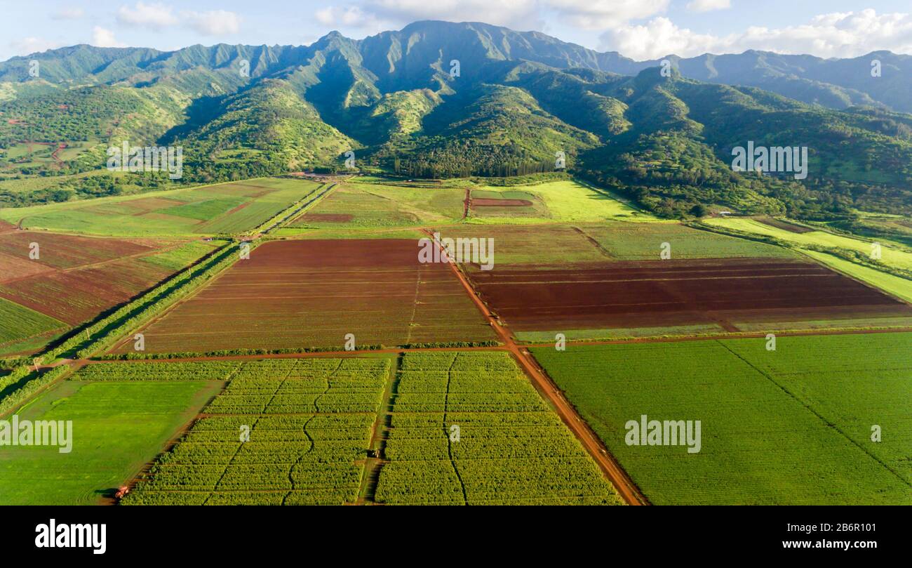 Aerial Farm view, Oahu Hawaii Stock Photo - Alamy