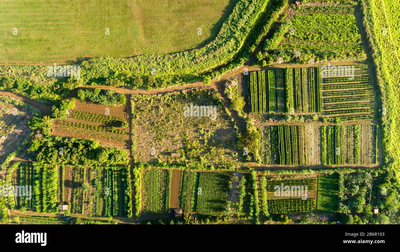 Aerial Farm view, Oahu Hawaii Stock Photo - Alamy