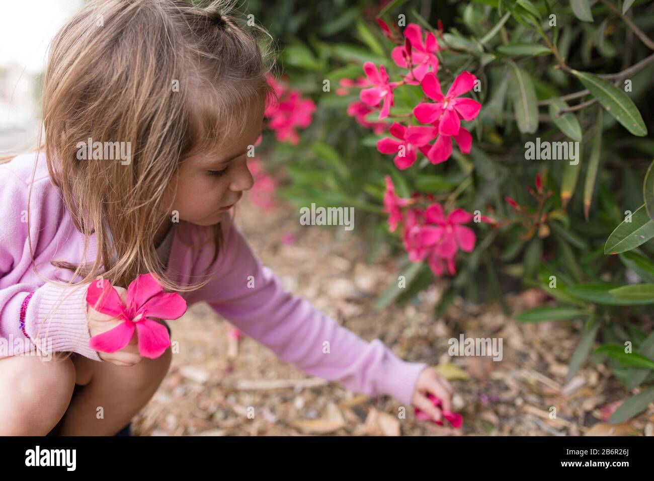 Stop and smell the flowers Stock Photo - Alamy