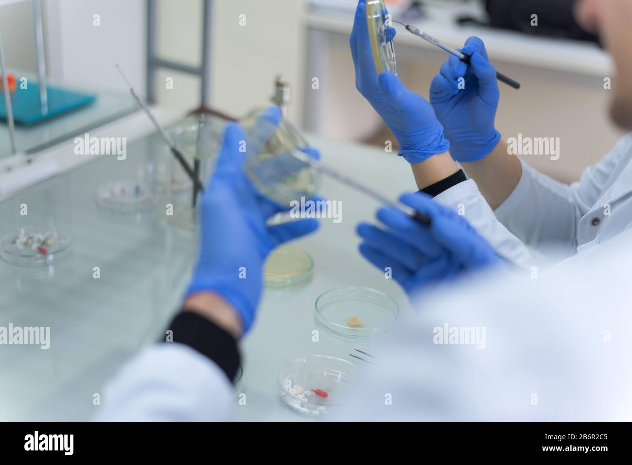 Group of Microbiologists with a tube of biological sample contaminated ...