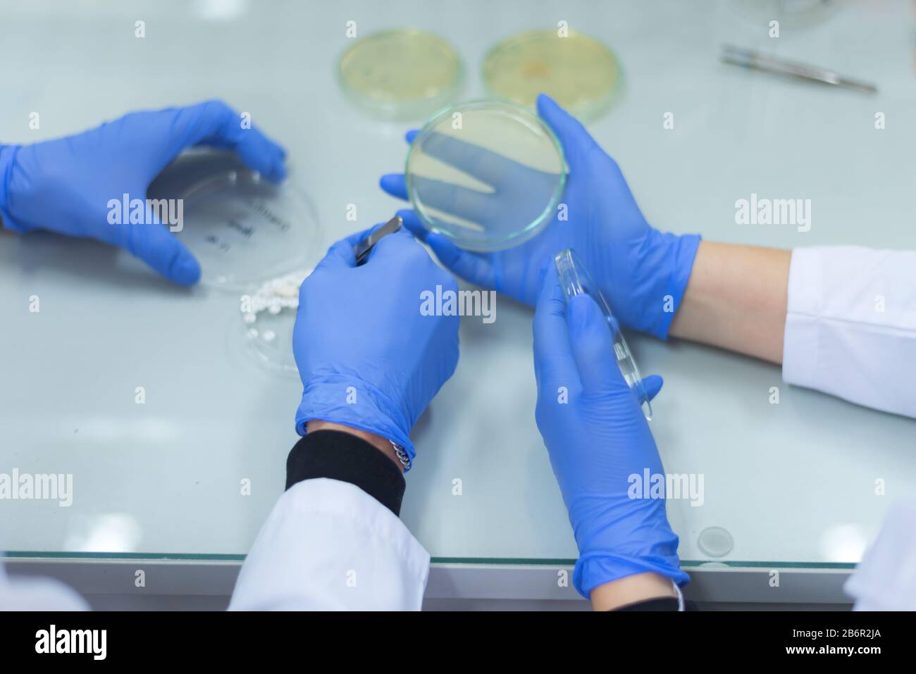Group of Microbiologists with a tube of biological sample contaminated ...