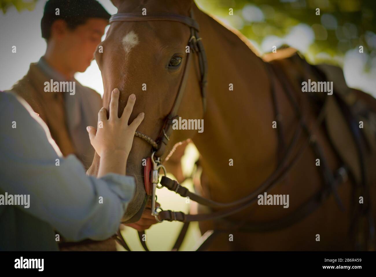 Tamed creatures hi-res stock photography and images - Alamy