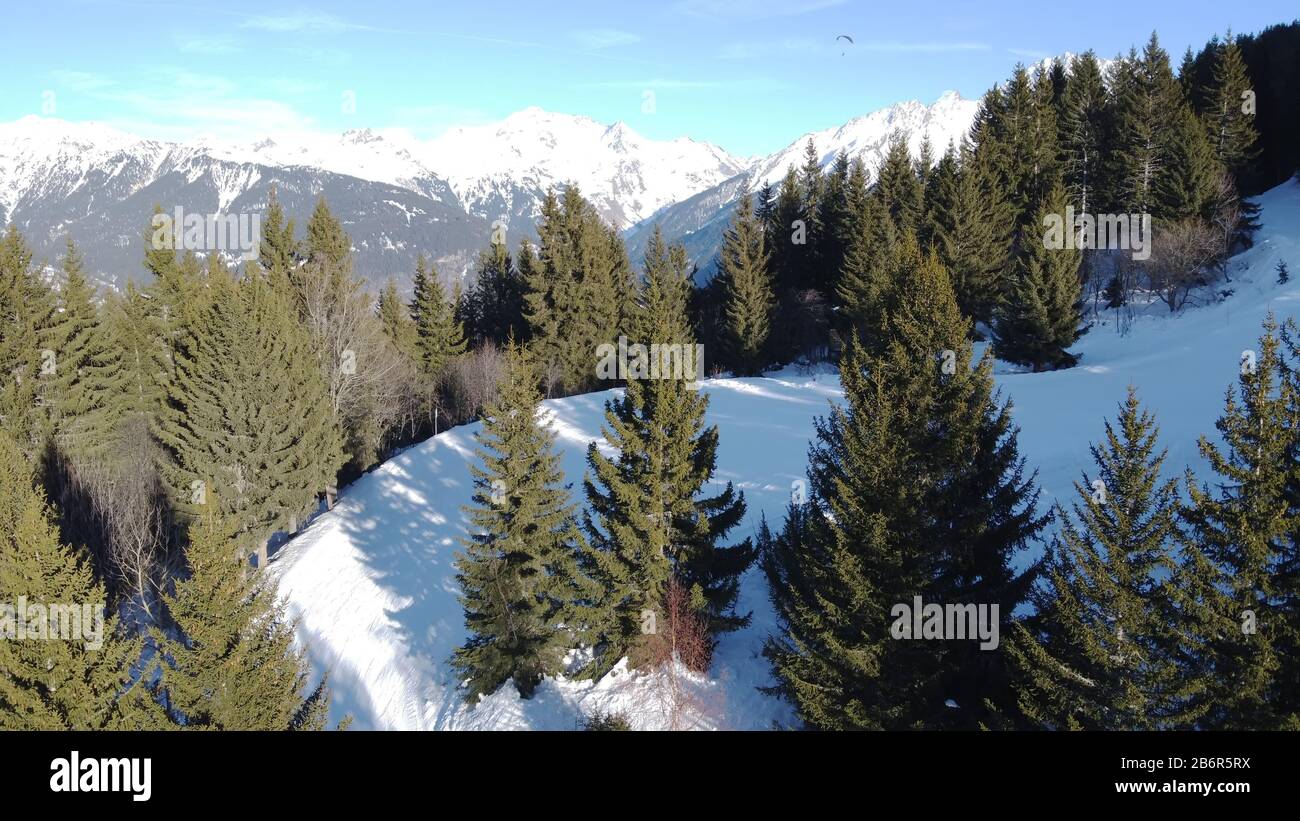 Aerial winter scene of alpine snowy mountain peaks and dark spruce ...