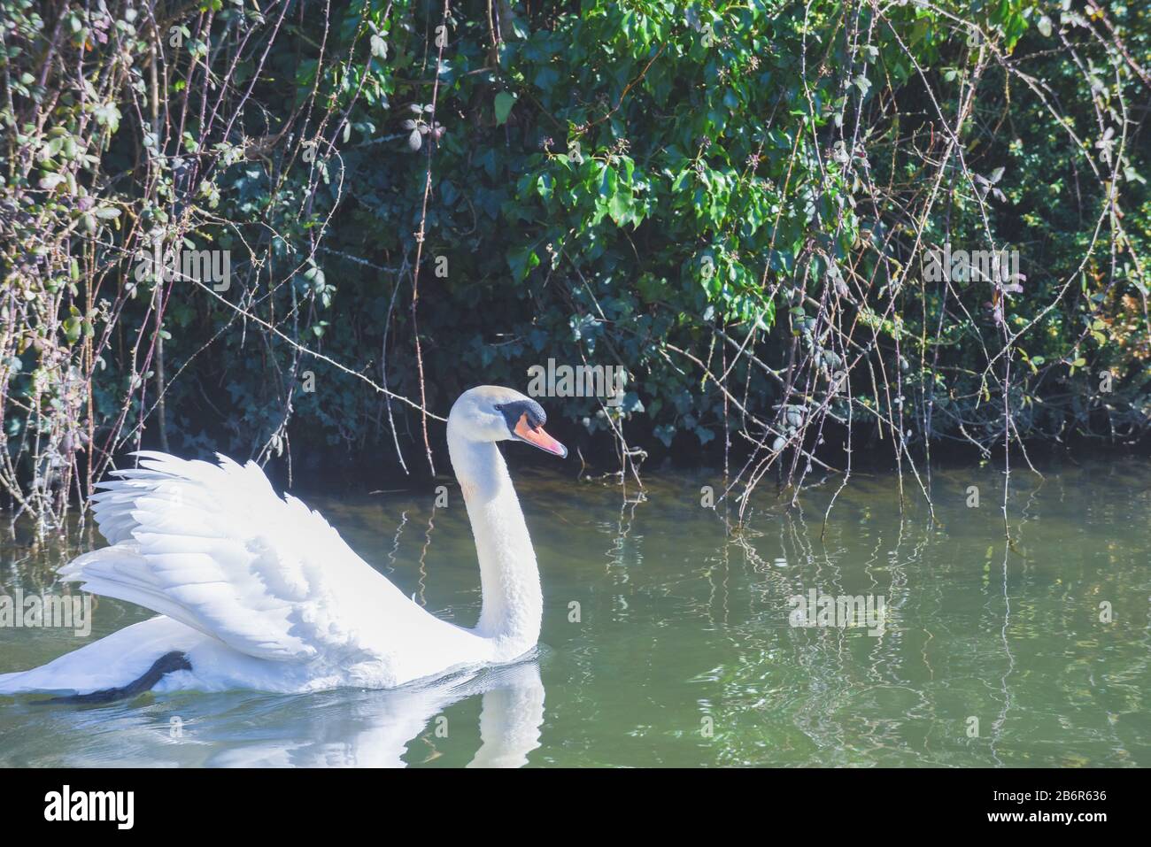 Alone on a lake hi-res stock photography and images - Alamy