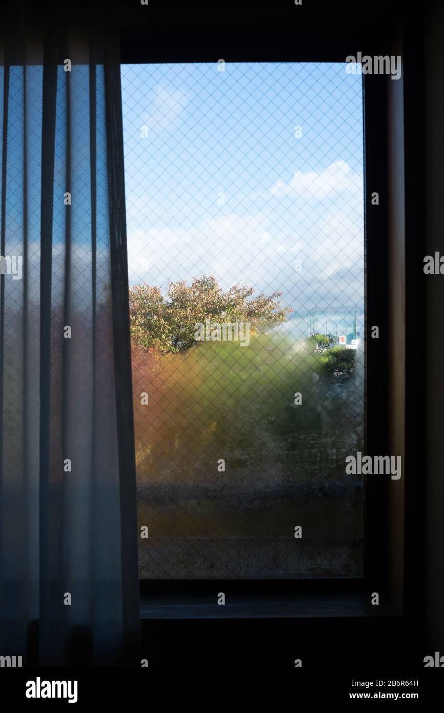 Window and tree with red and yellow leafs Stock Photo - Alamy