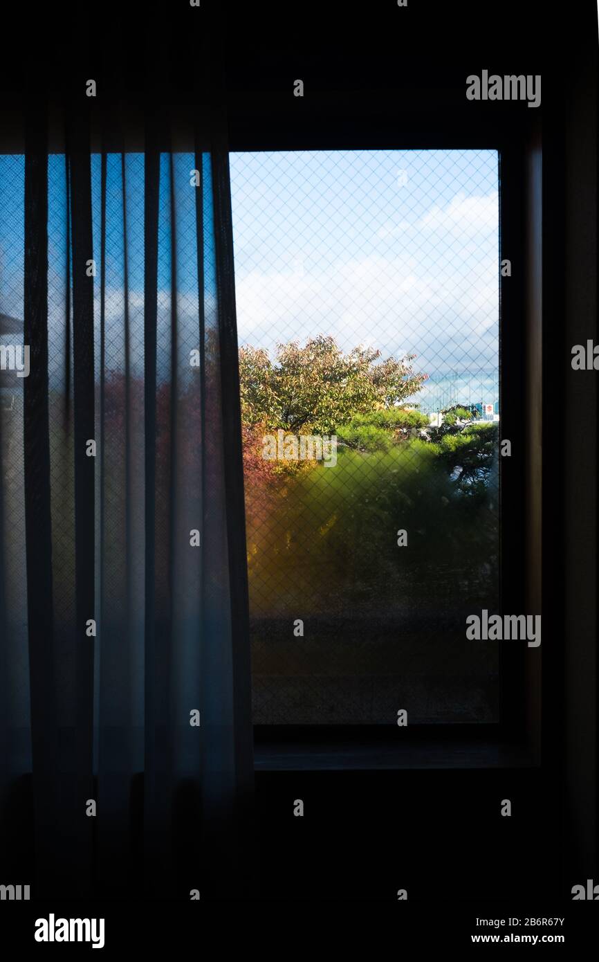 Window and tree with red and yellow leafs Stock Photo - Alamy