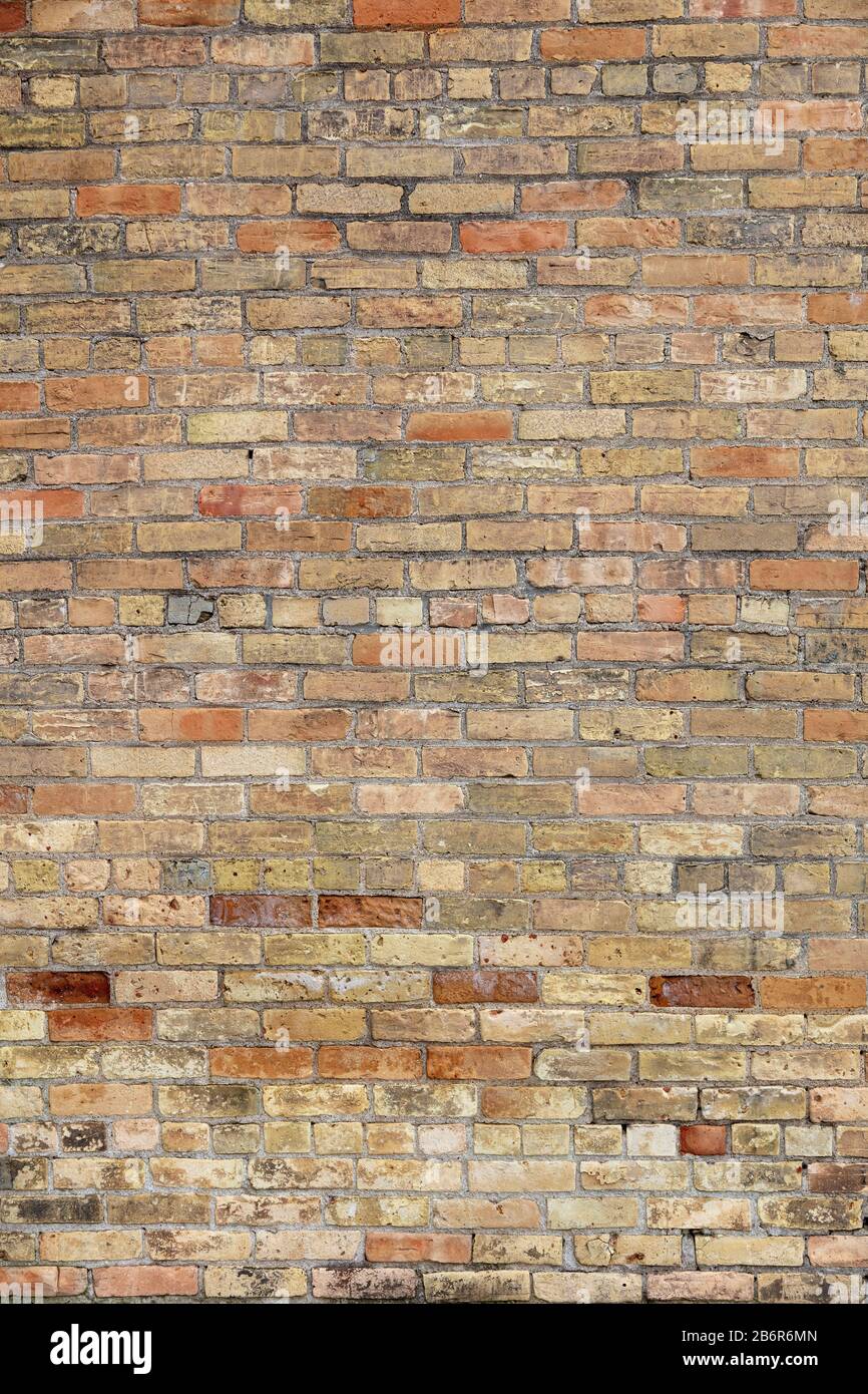 Brick Wall, by James D Coppinger/Dembinsky Photo Assoc Stock Photo - Alamy