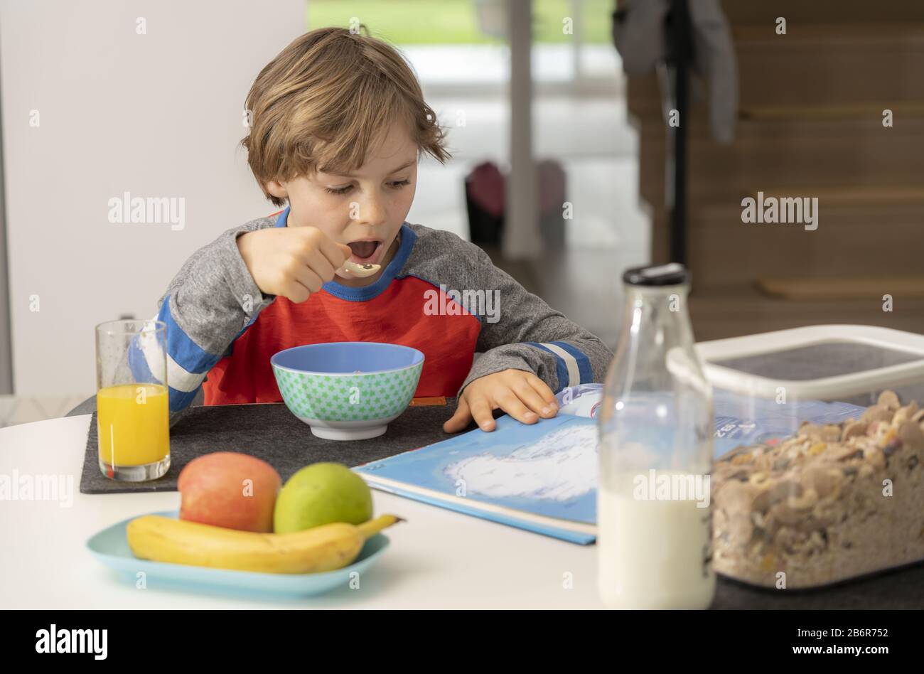 Young, 9 years old, at breakfast, at home, before school, healthy ...