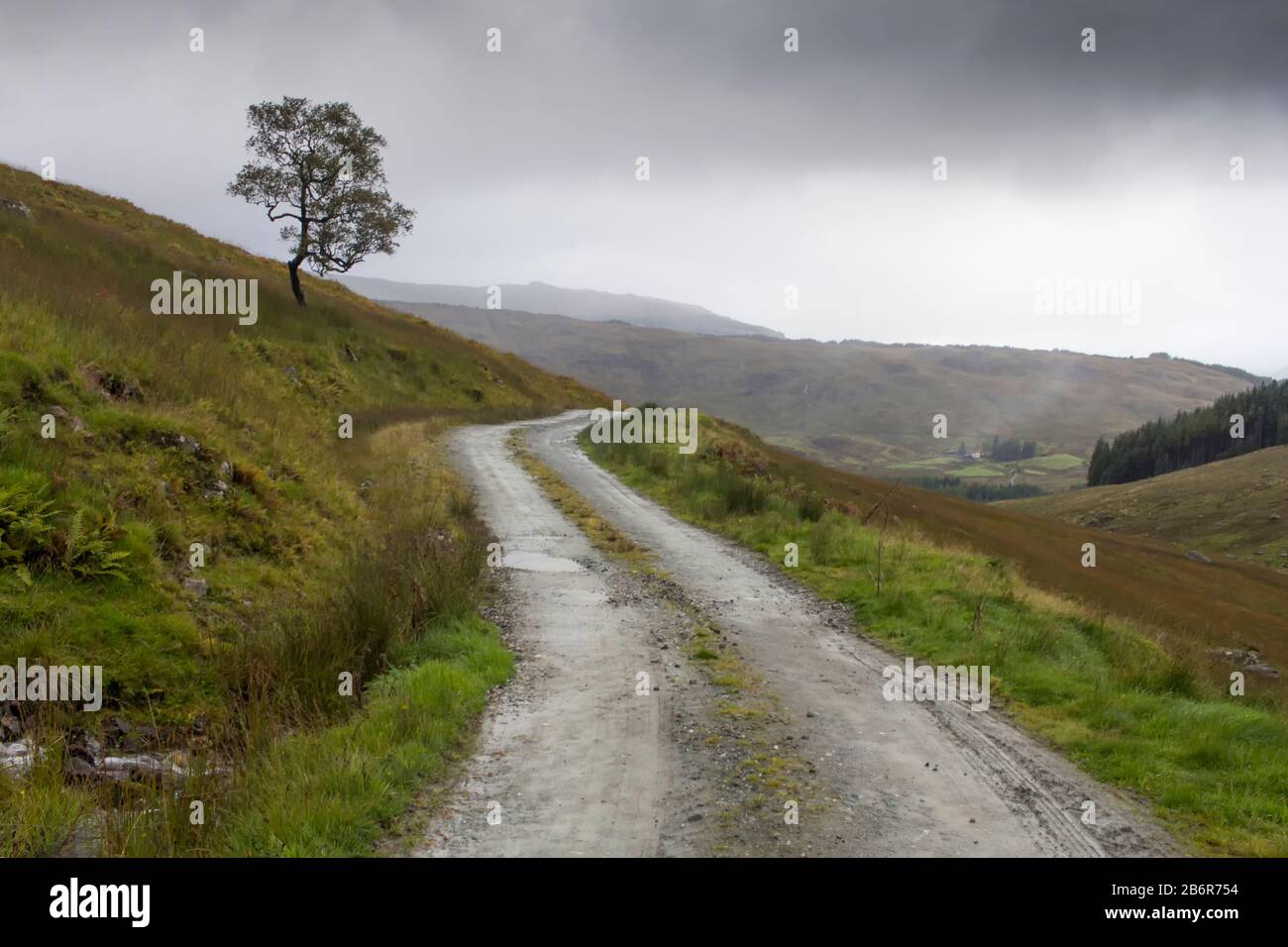 Scottish highlands drive wet hi-res stock photography and images - Alamy