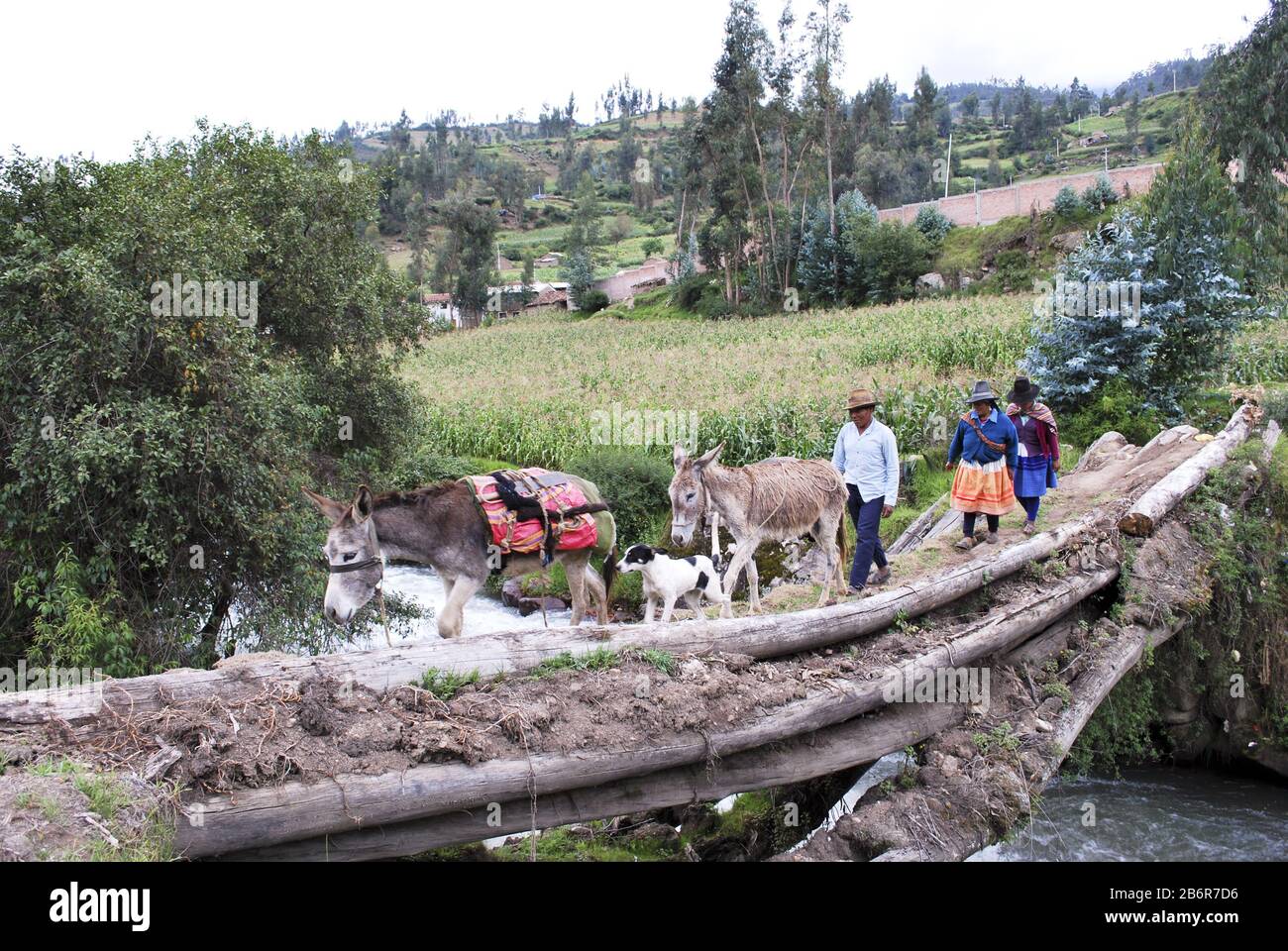 Huaraz, Peru. Group of Peruvian people, dog and donkeys crossing ...