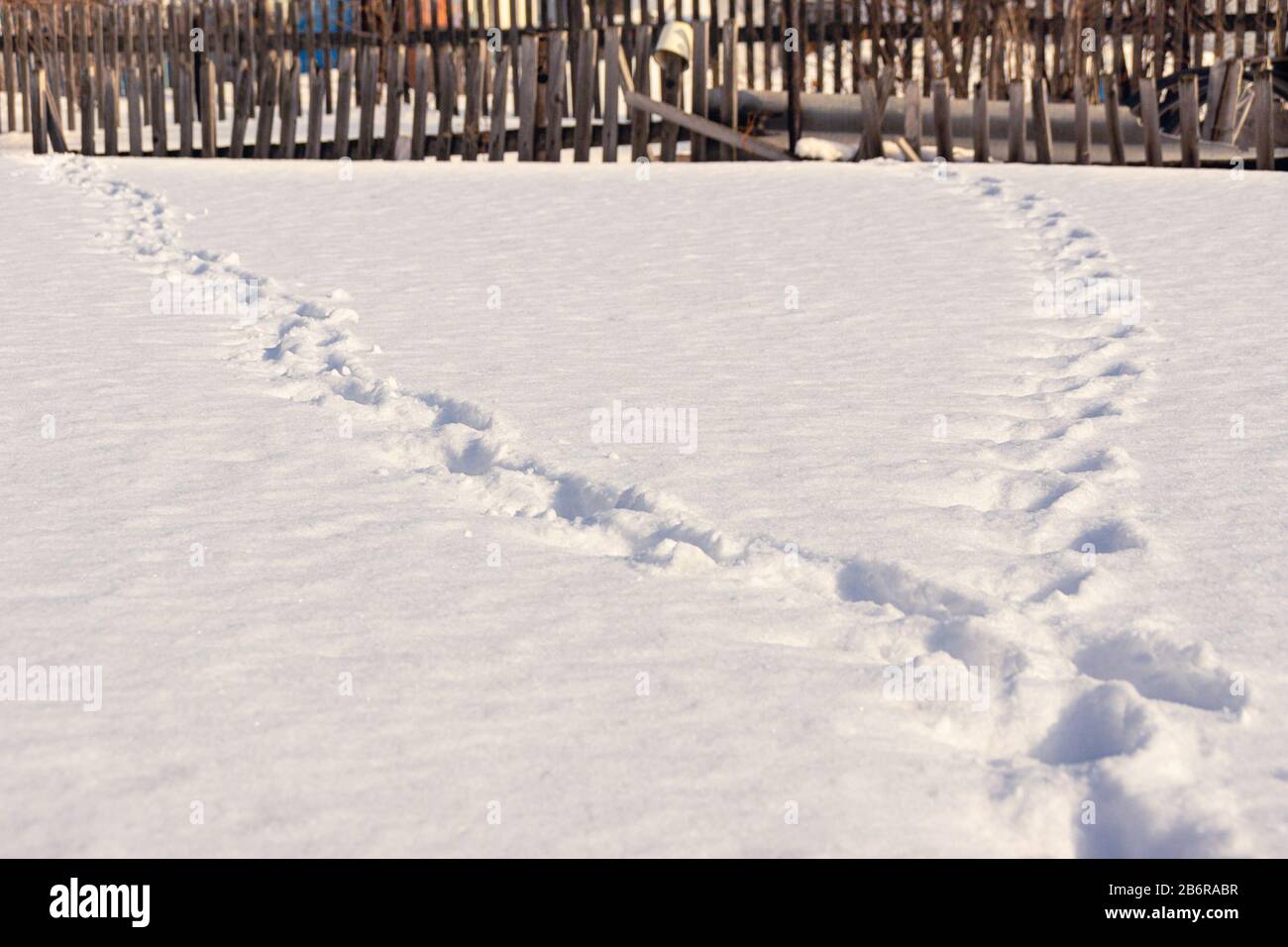 Two Paths Diverge High Resolution Stock Photography and Images - Alamy