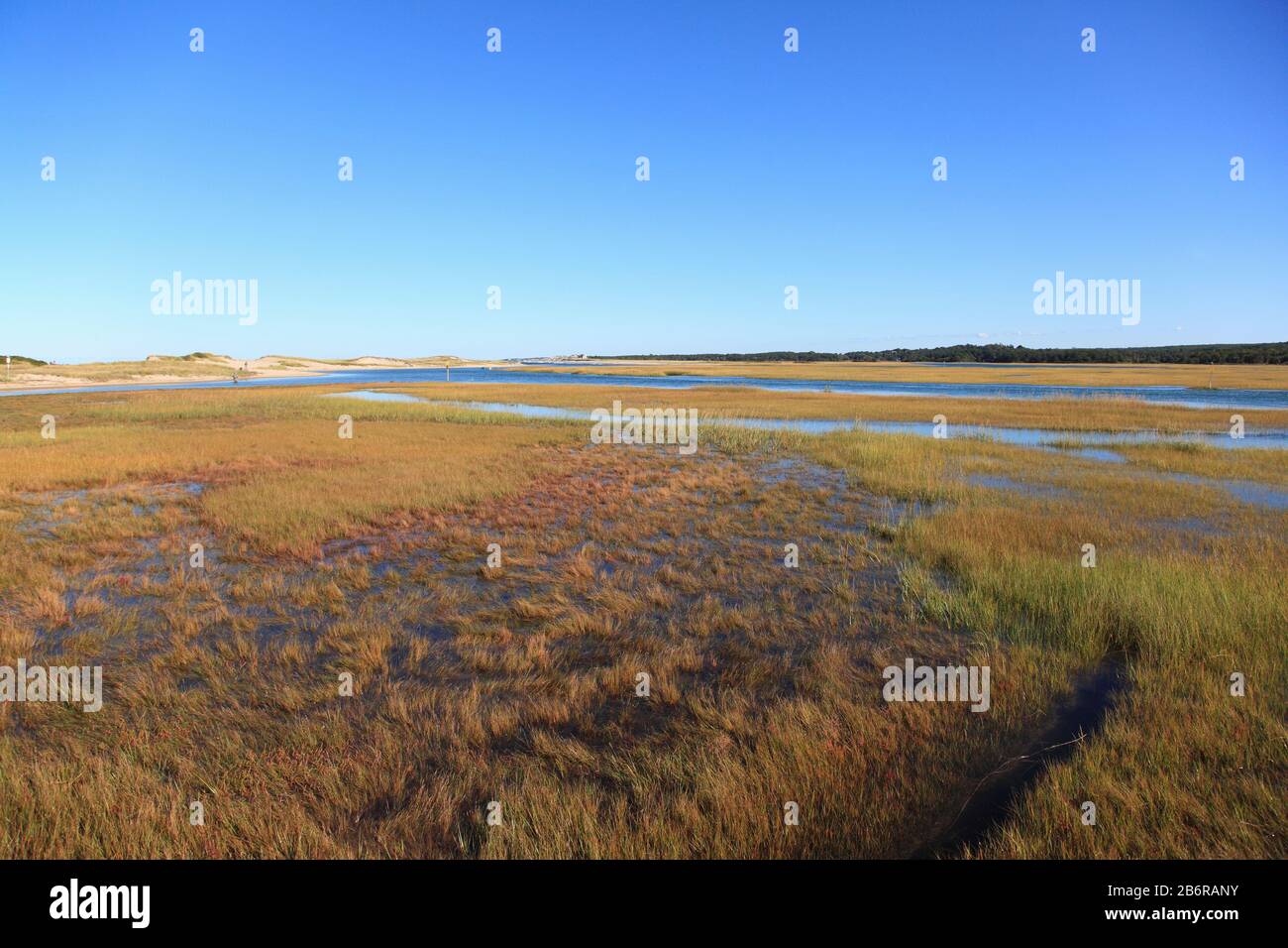 View of Salt Marsh, surrounding Sandwich Boardwalk, Sandwich, Cape Cod ...