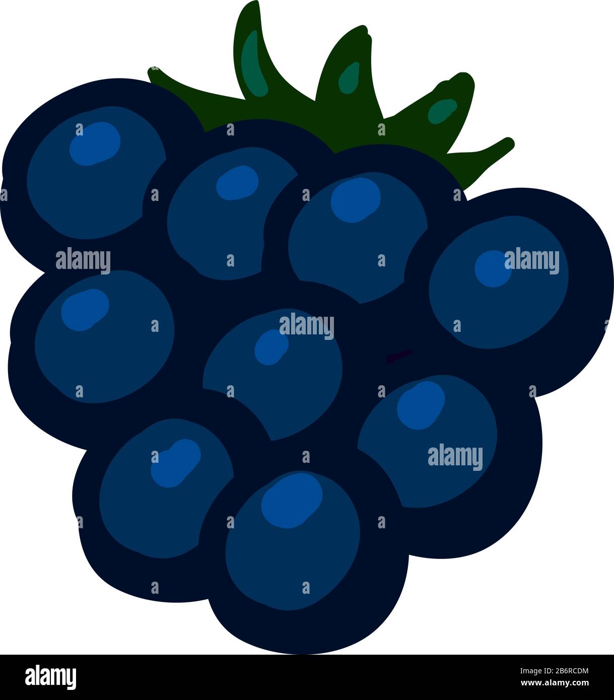 Blackberry vector design hi-res stock photography and images - Alamy