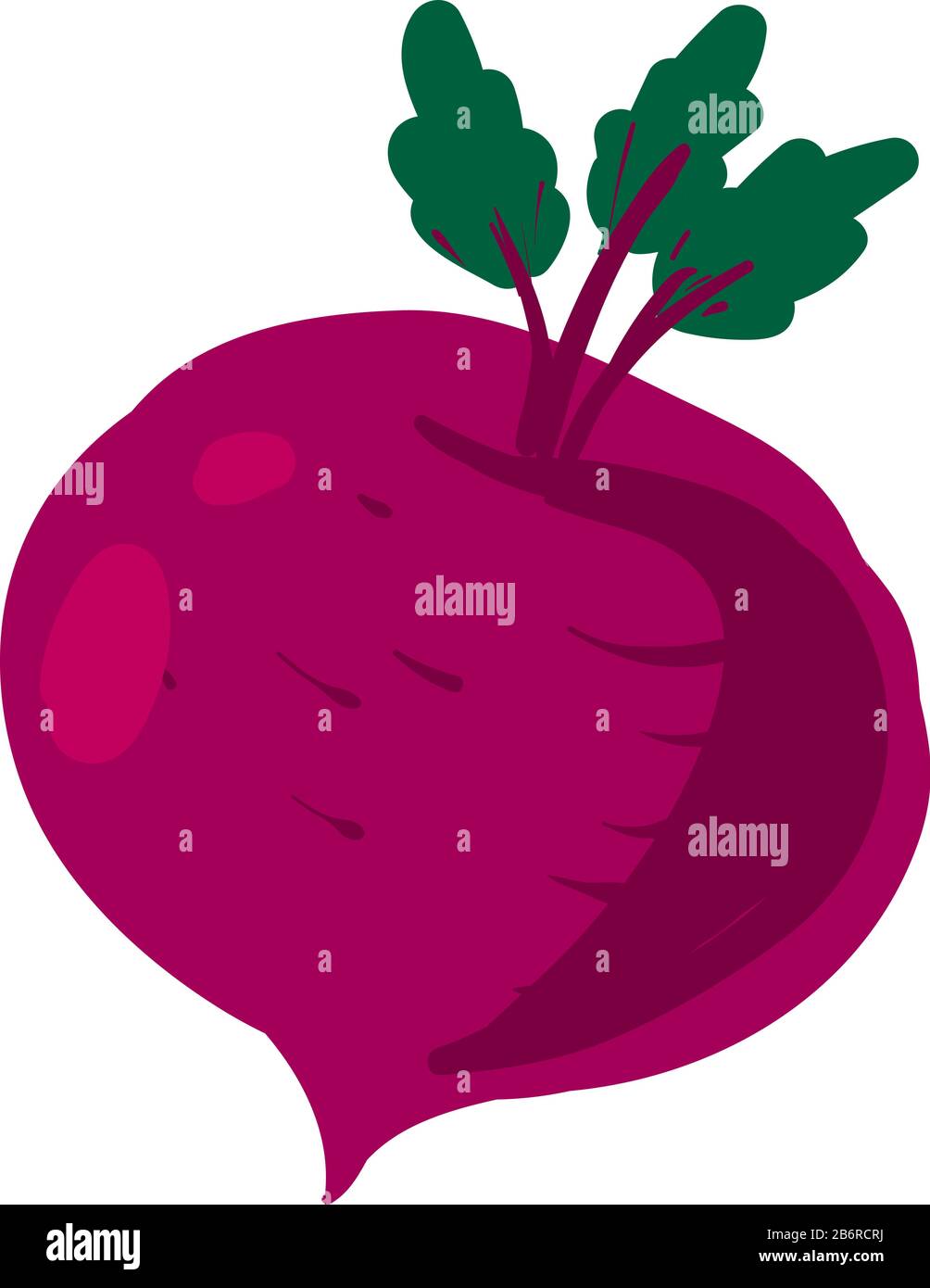Slice red beetroot on Stock Vector Images - Alamy