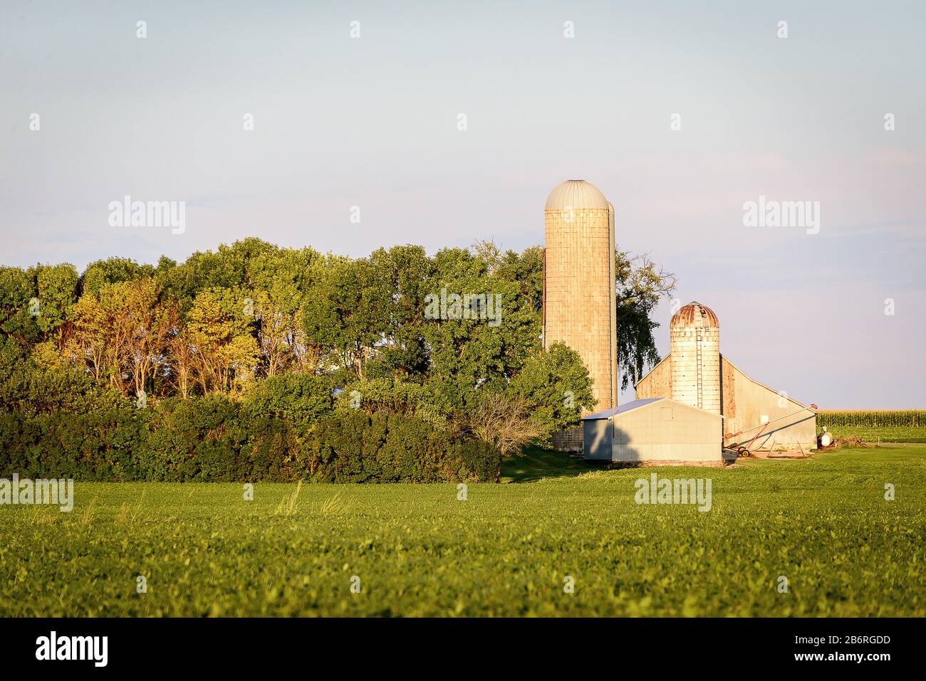 Grain farming in Minnesota Stock Photo - Alamy
