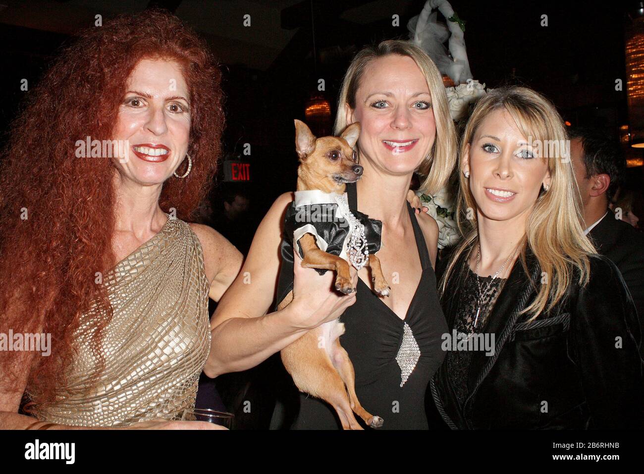 New York, NY, USA. 19 November, 2009. at the Once Upon A Time In ...