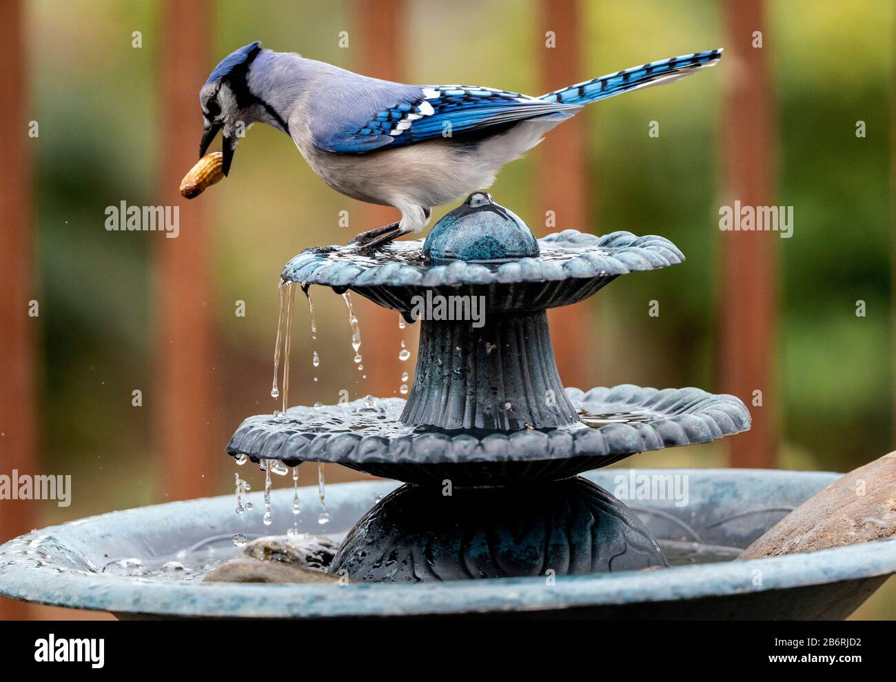 Fountain head hi-res stock photography and images - Alamy