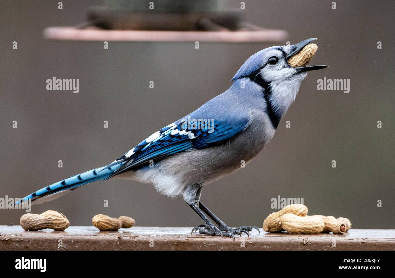 Down the hatch hi-res stock photography and images - Alamy