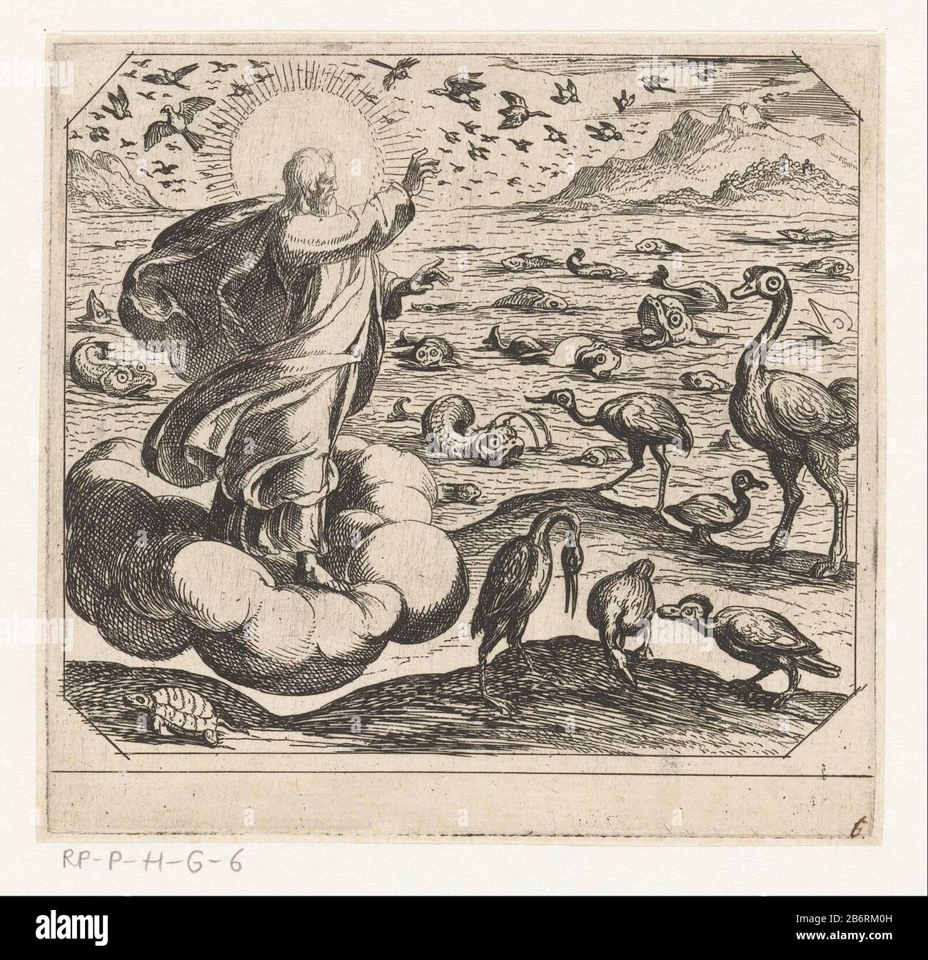 God creates fish hi-res stock photography and images - Alamy