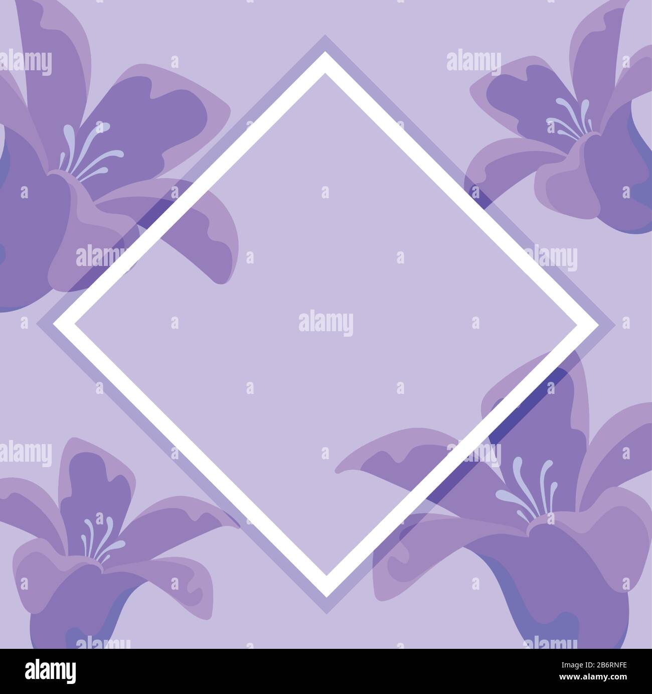 decorative rhombus frame over floral background with purple flowers ...