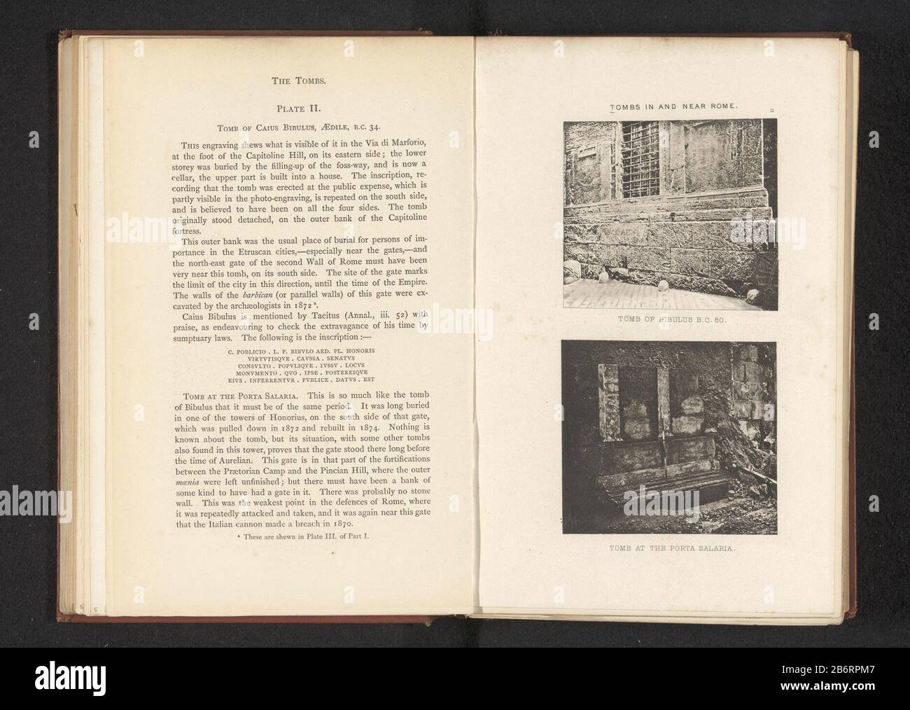 Marcus maximus hi-res stock photography and images - Alamy