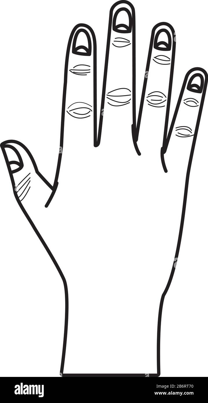 Hand with palm open stop isolated Stock Vector Image & Art - Alamy