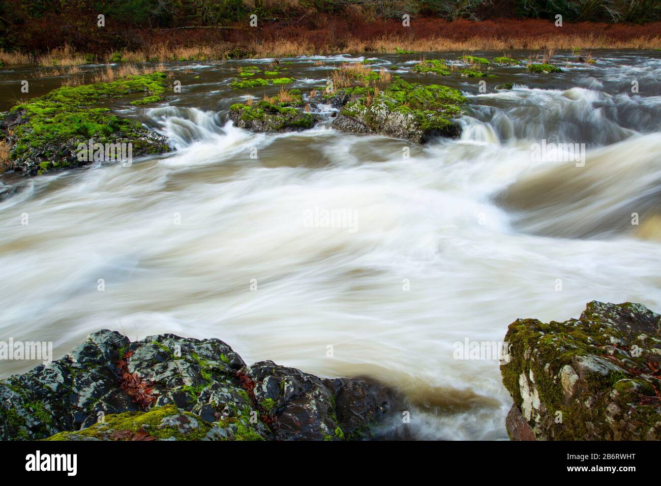 Oregon tillamook forest river hi-res stock photography and images - Alamy