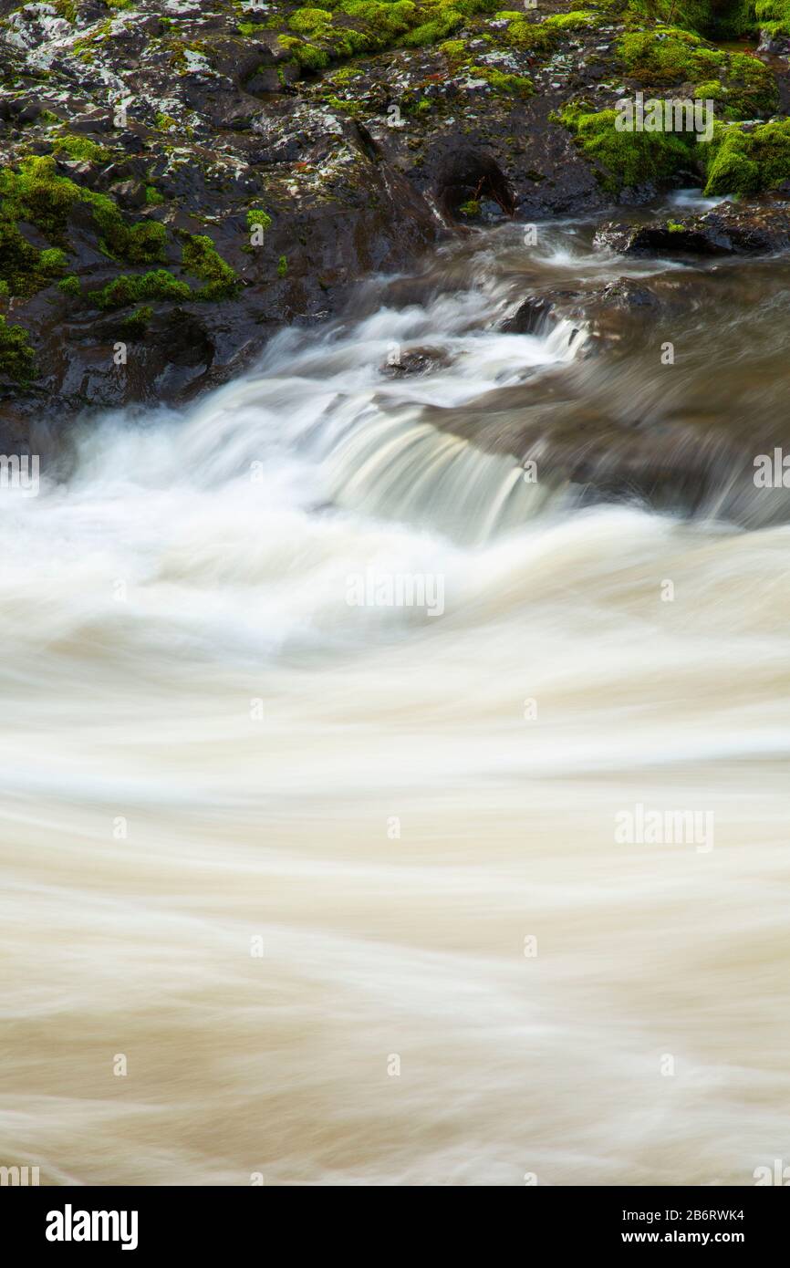 Oregon forest nehalem river hi-res stock photography and images - Alamy