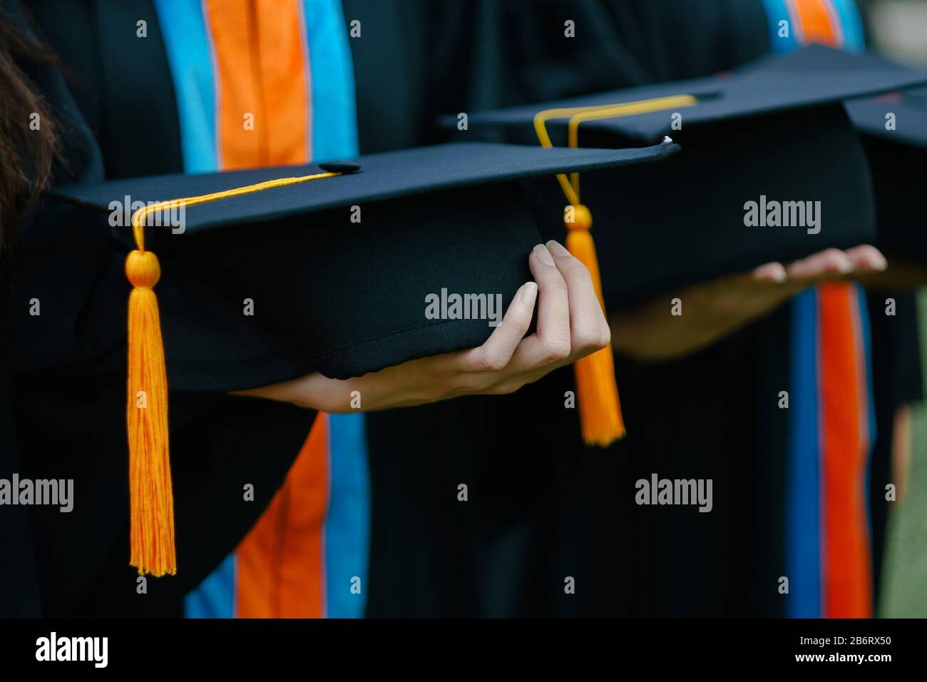 Rearview of the university graduates line up for degree awards in the ...