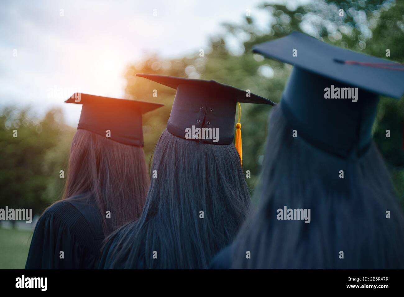 Rearview of the university graduates line up for degree awards in the ...
