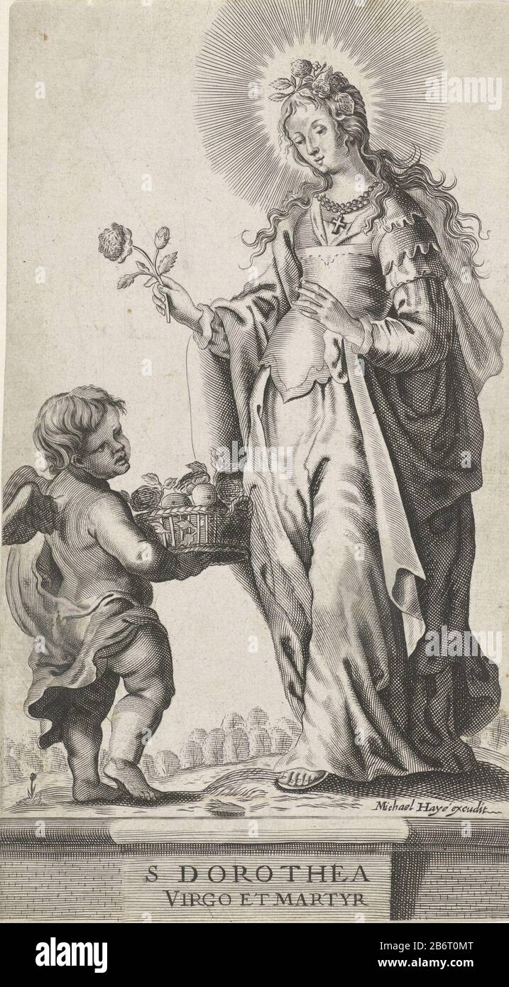 Rose dorothea hi-res stock photography and images - Alamy