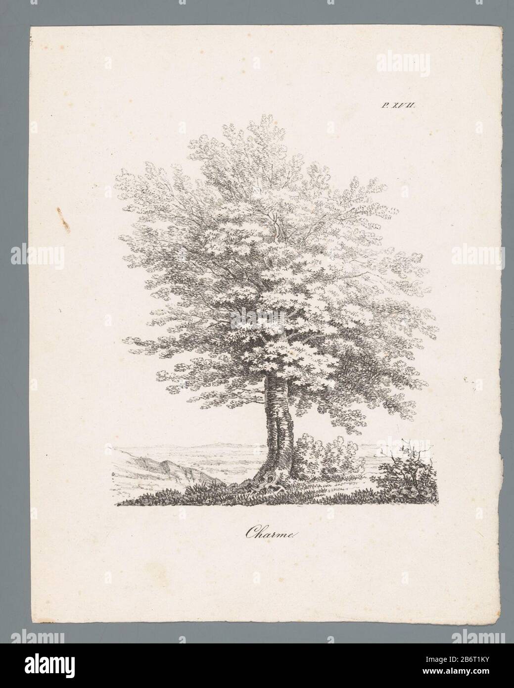 J w w birch hi-res stock photography and images - Alamy