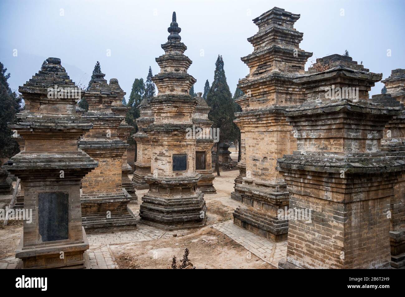 Brick tombs of eminent monks in the Pagoda Forest cemetery at Shaolin ...