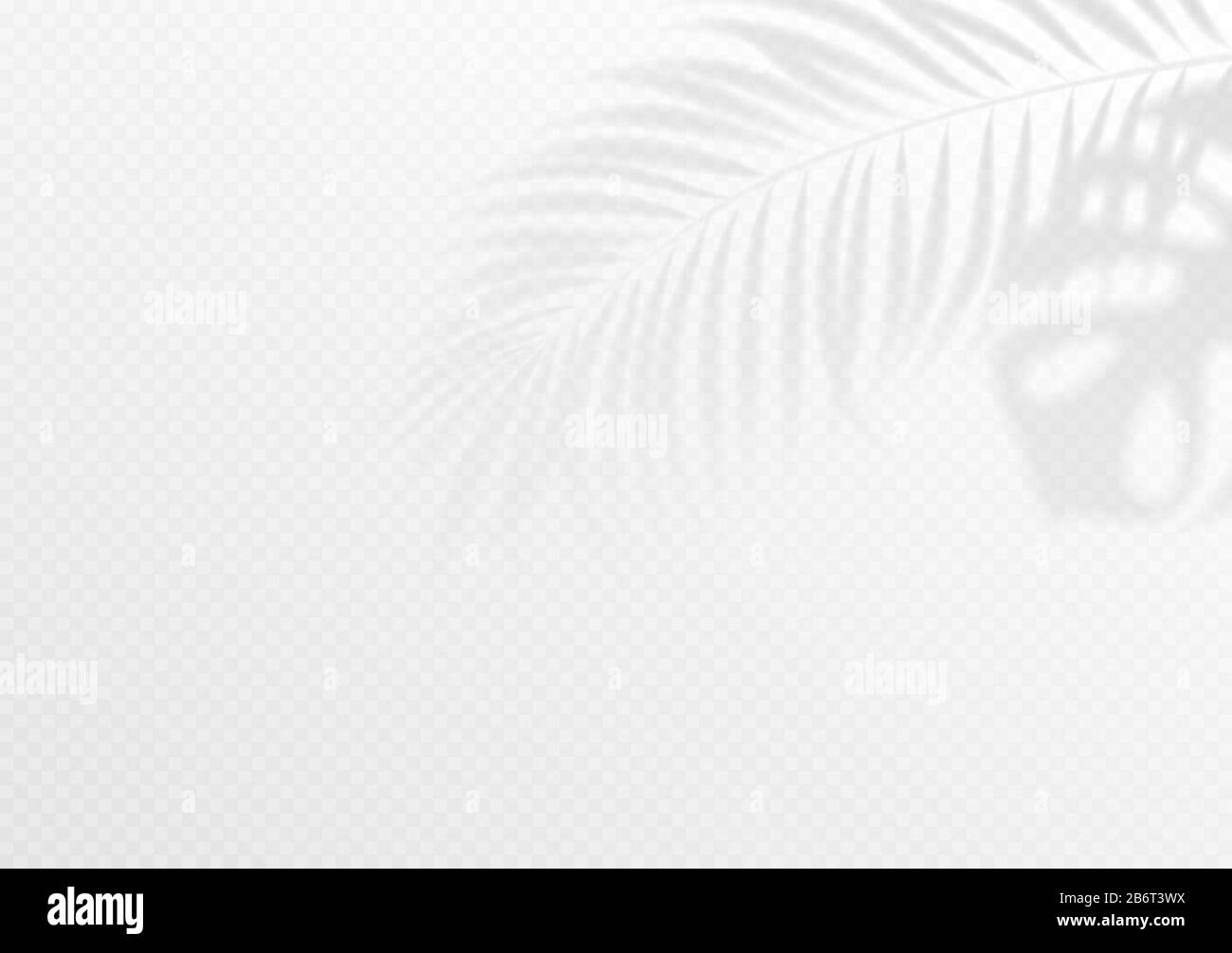 The transparent shadow overlay effect. Tropic leaf. Mockup with overlay ...