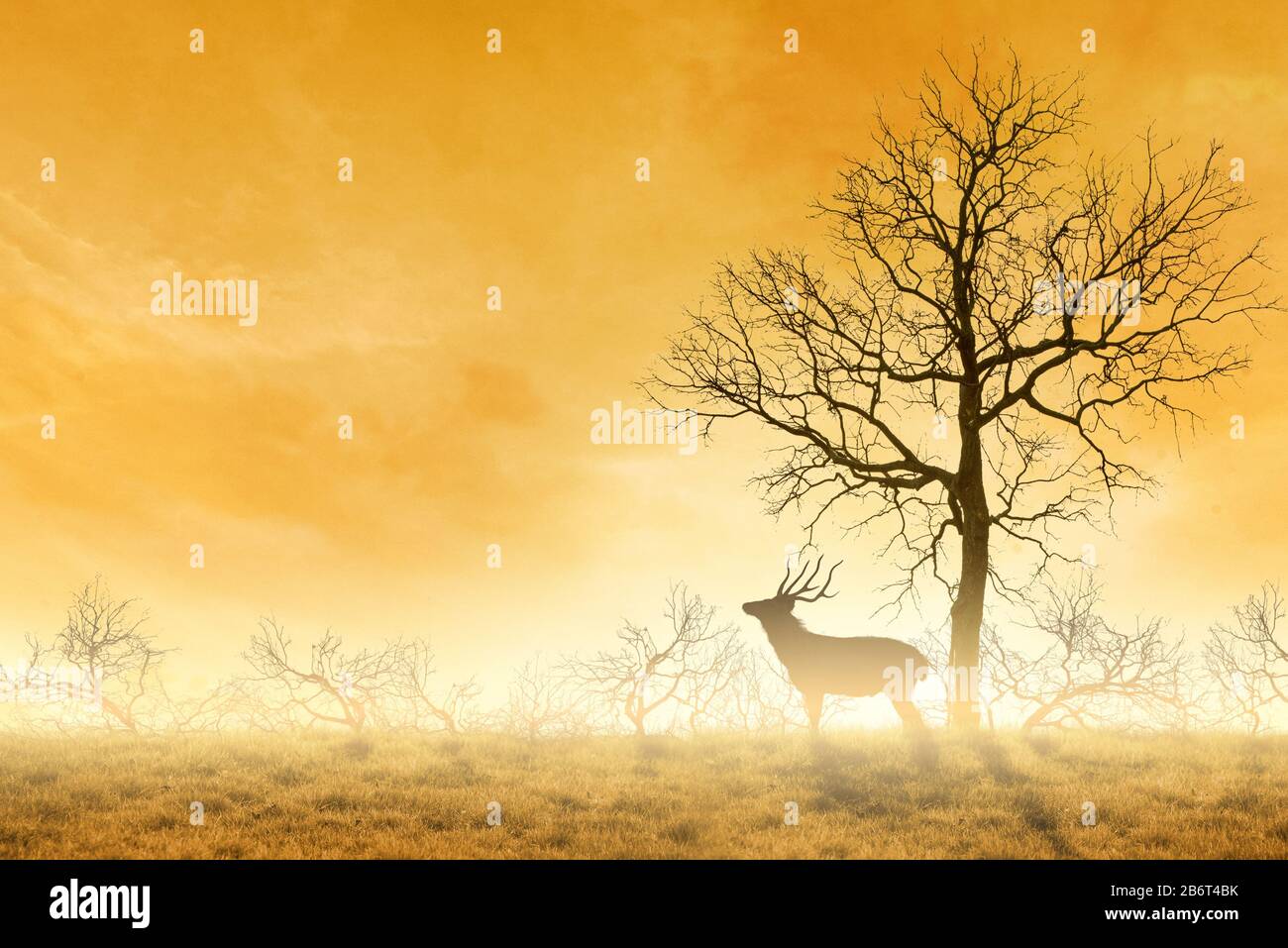 Conceptual Deer stag , a dry tree as red deer stag Stock Photo - Alamy