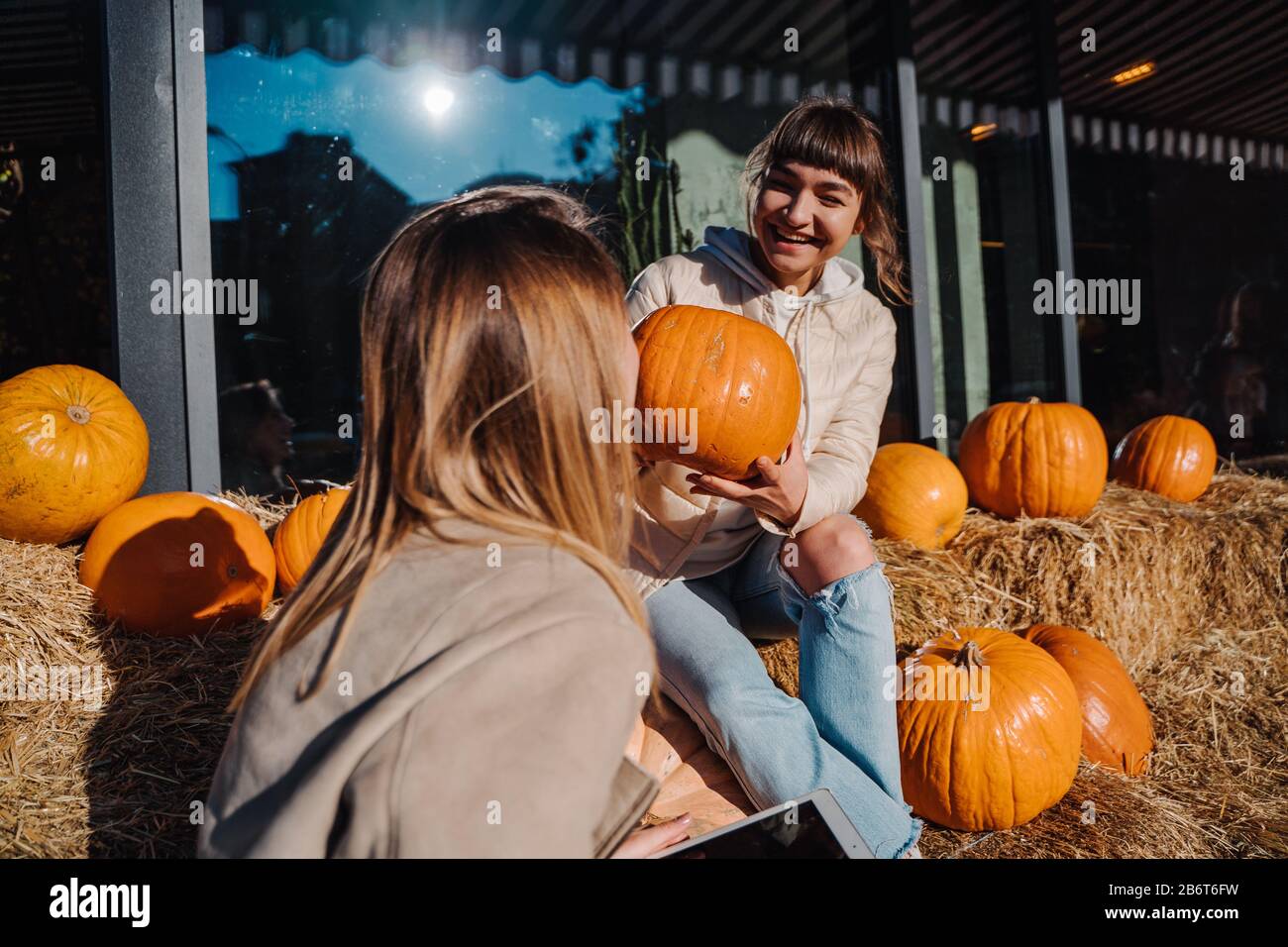 Girls have fun among pumpkins and haystacks on a city street Stock ...