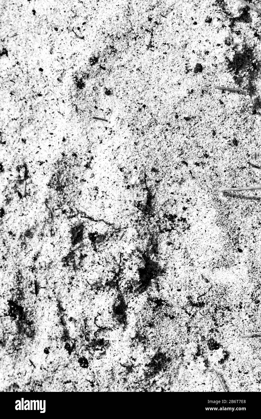 wave pattern black and white in the sand Stock Photo - Alamy