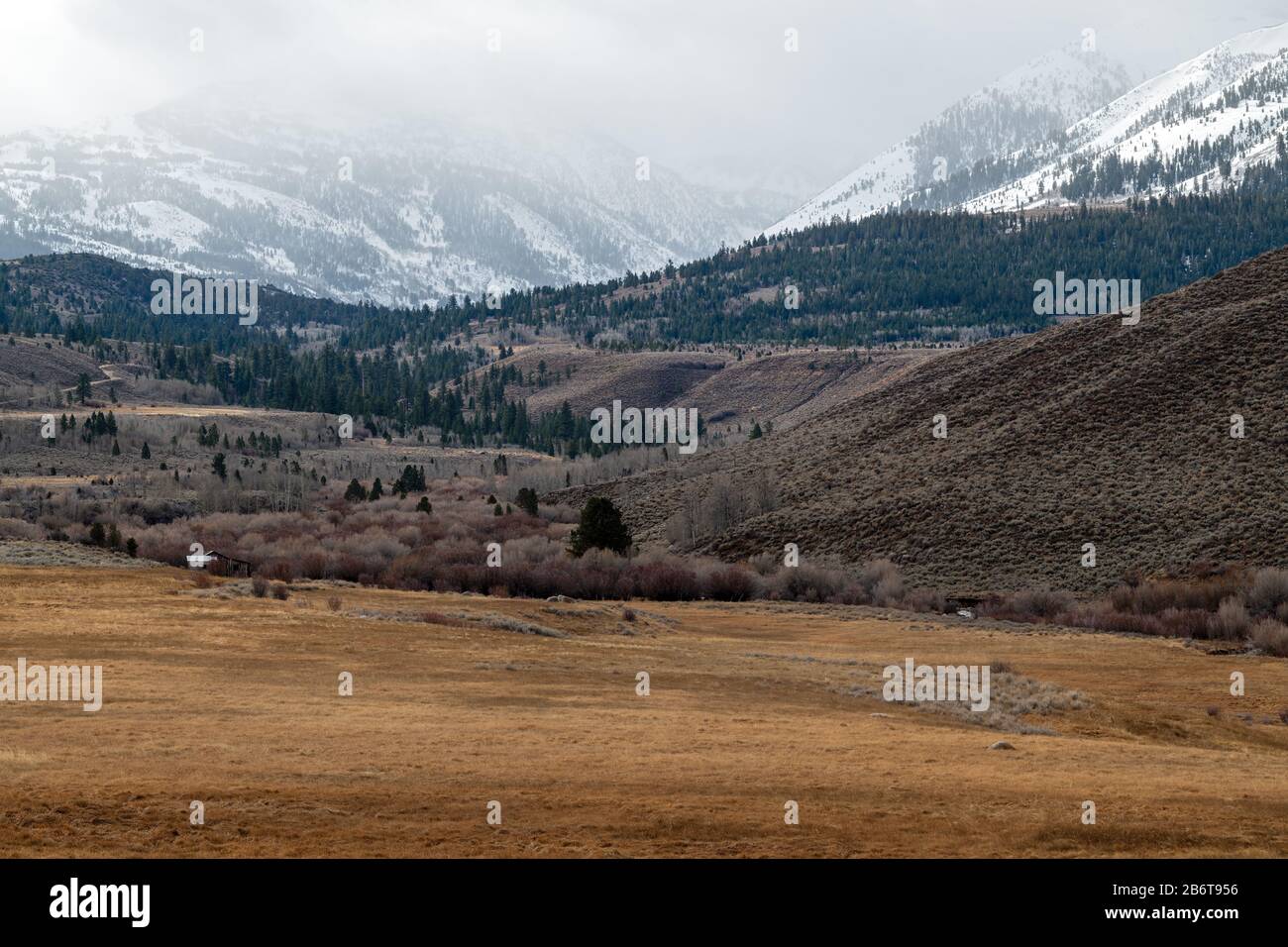 Sonora junction hi-res stock photography and images - Alamy