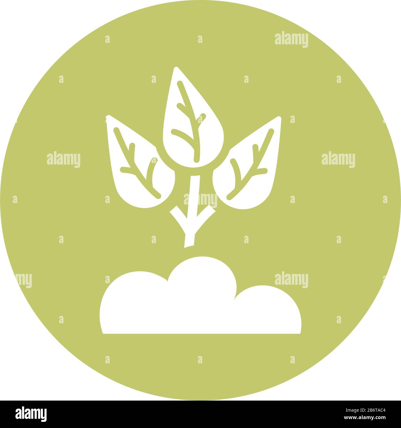 Lower plants Stock Vector Images - Alamy