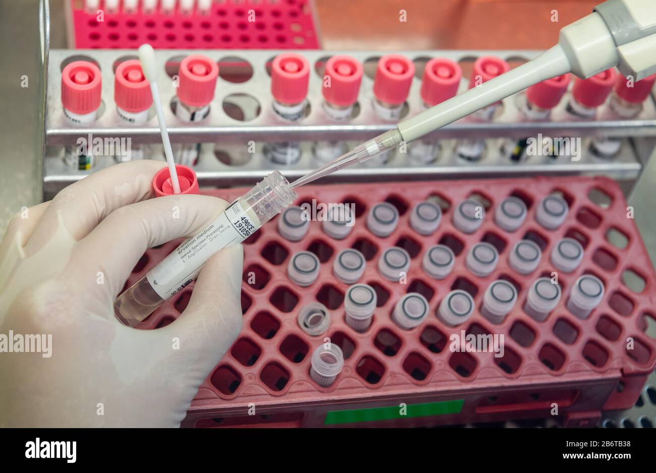 Dresden, Germany. 11th Mar, 2020. A medical technical assistant ...
