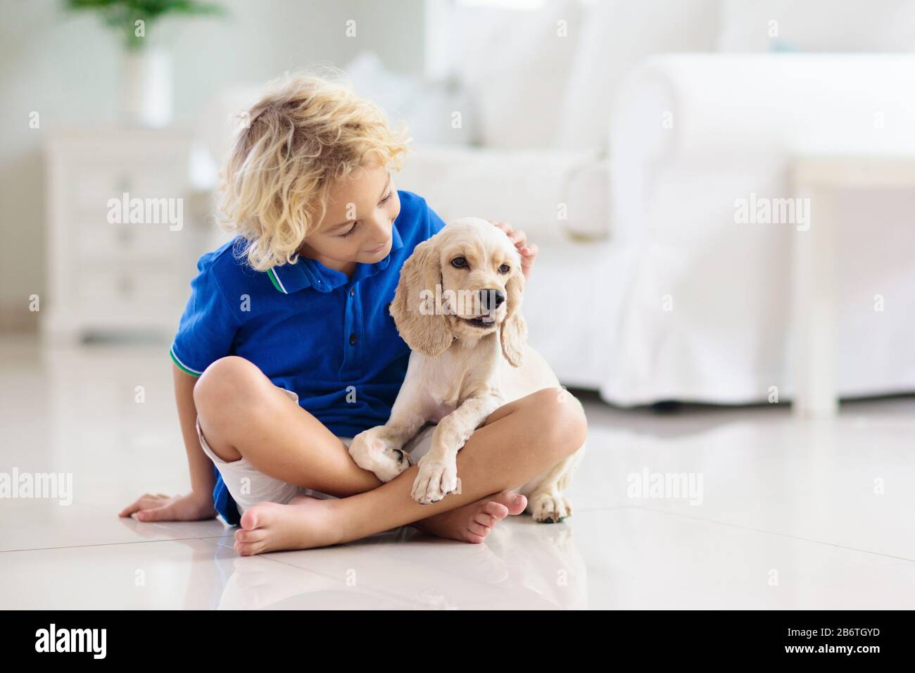 American cocker spaniel and kid hi-res stock photography and images - Alamy